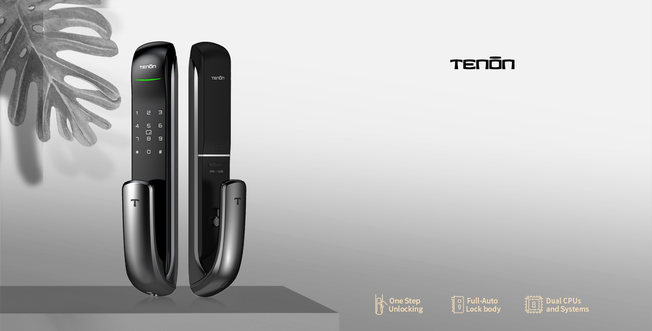 Automatic Push-Pull Digital Smart Door Lock Manufacturer China | Tenon Lock